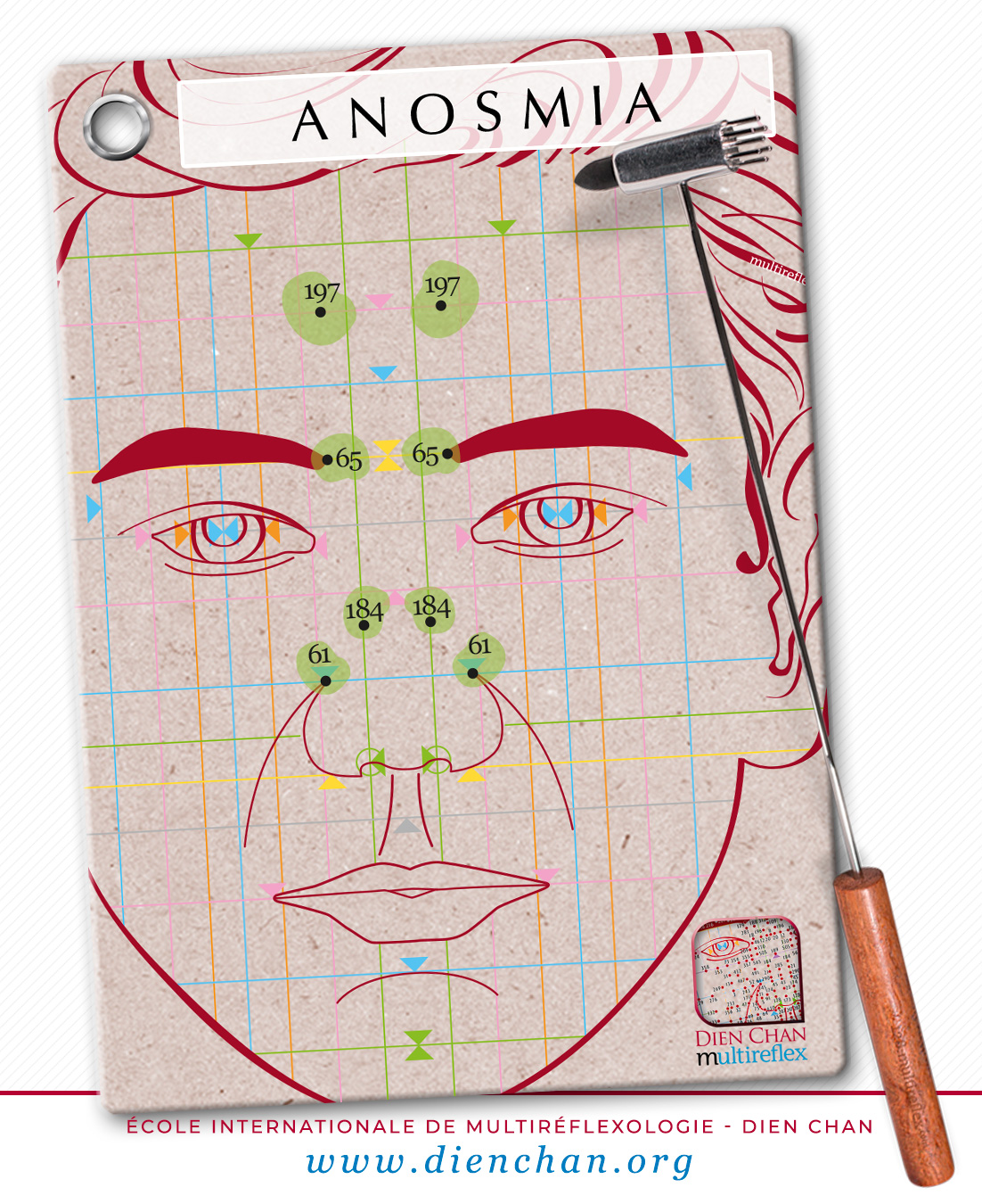 Traiter l'anosmie - Les experts du Dien Chan