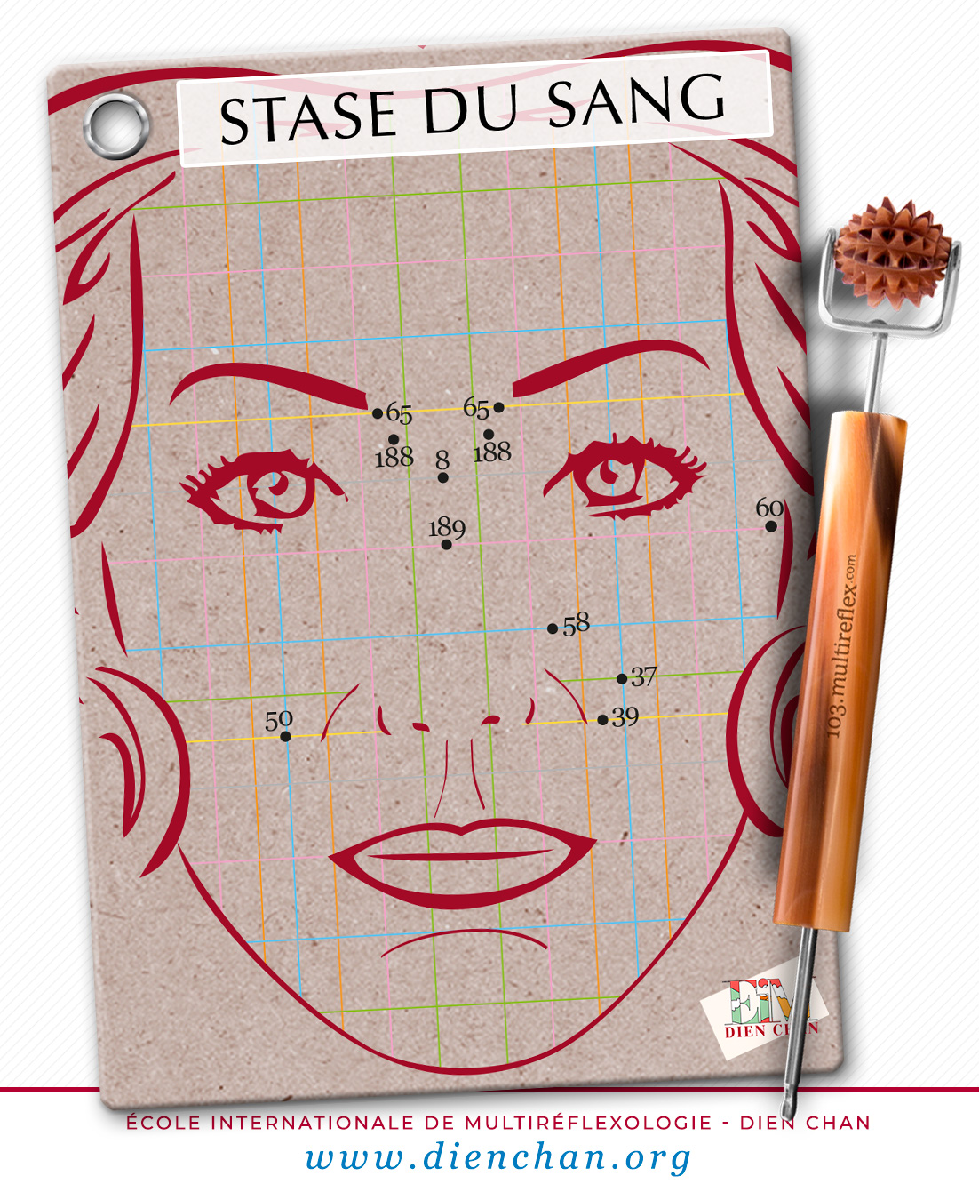 Experts en Dien Chan - Les experts du Dien Chan