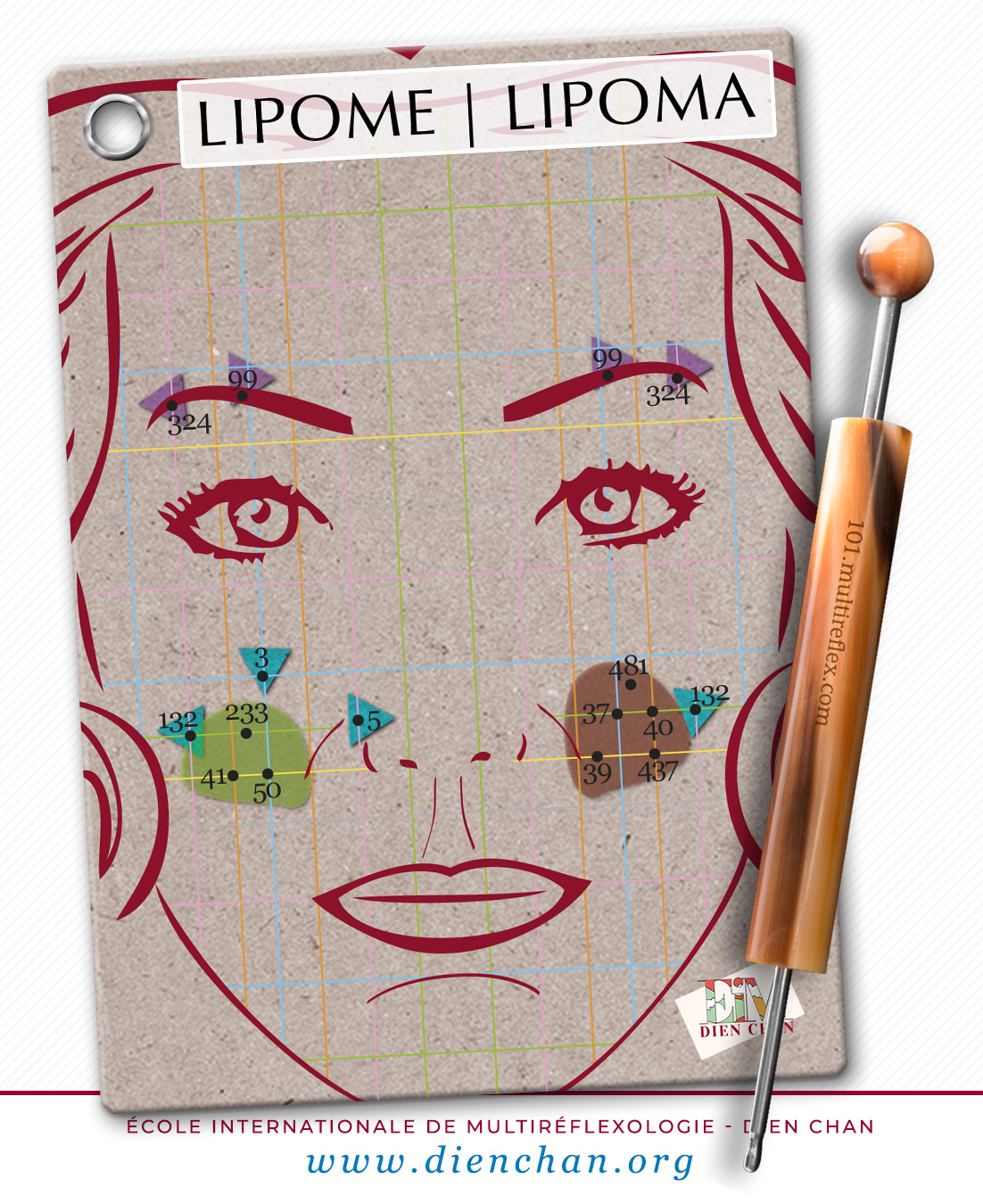 Lipomes et autres amas graisseux - Les experts du Dien Chan